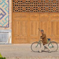 Dan Hayes: journalist & writer